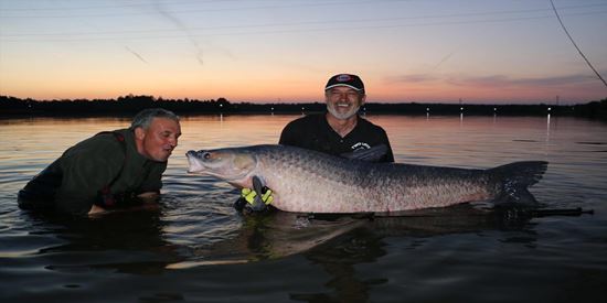 Balta Tancabesti, Ilfov