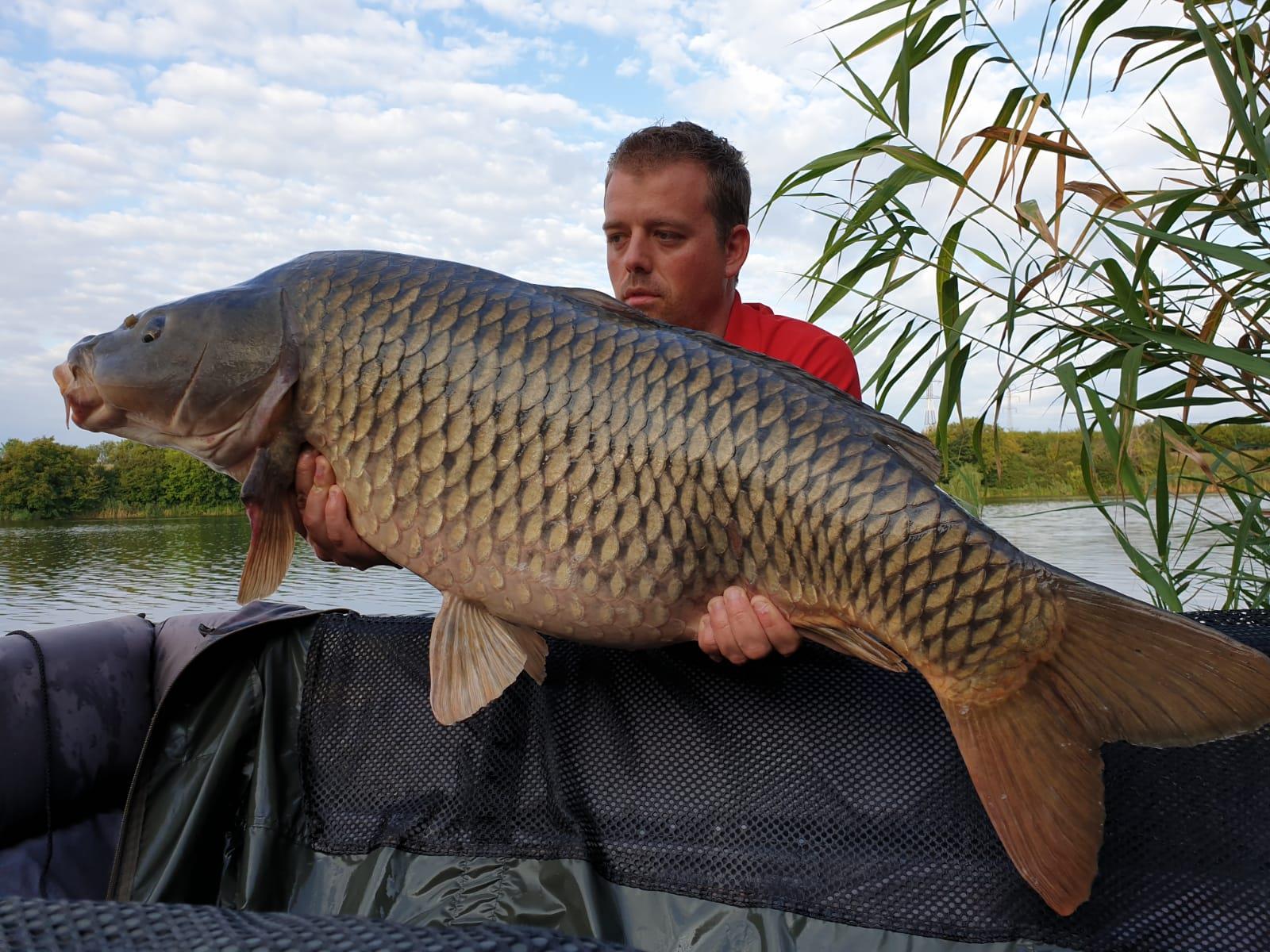 Viorel Mateianu și Costin Somodea au prins 108 kg pe balta Tancabesti ...