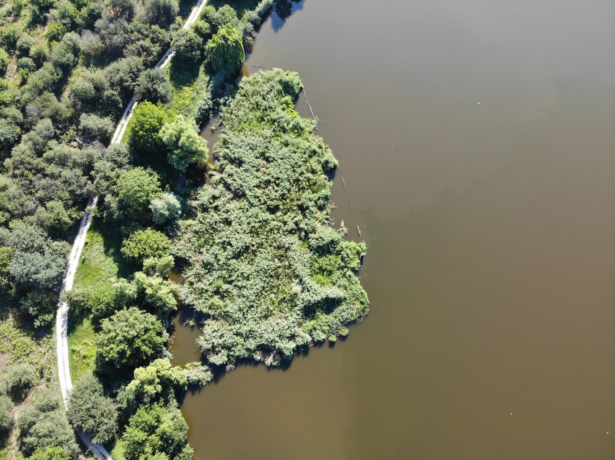 Costin Somodea a prins 118,1 kg pe balta Tancabesti la 9 - 12 iul. 2020