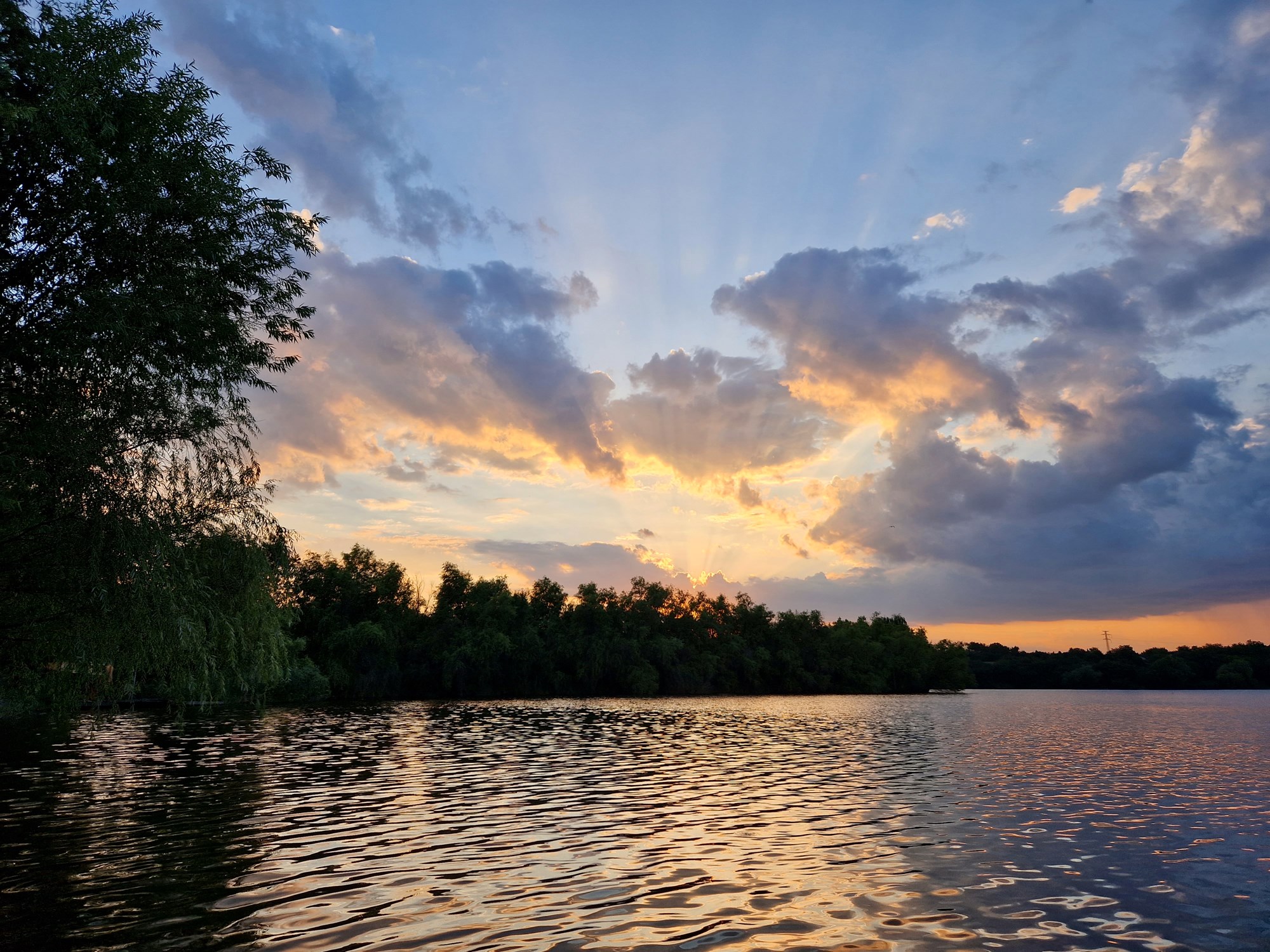 Costin Somodea și Alex Oancea au prins 266,92 kg pe balta Tancabesti la ...
