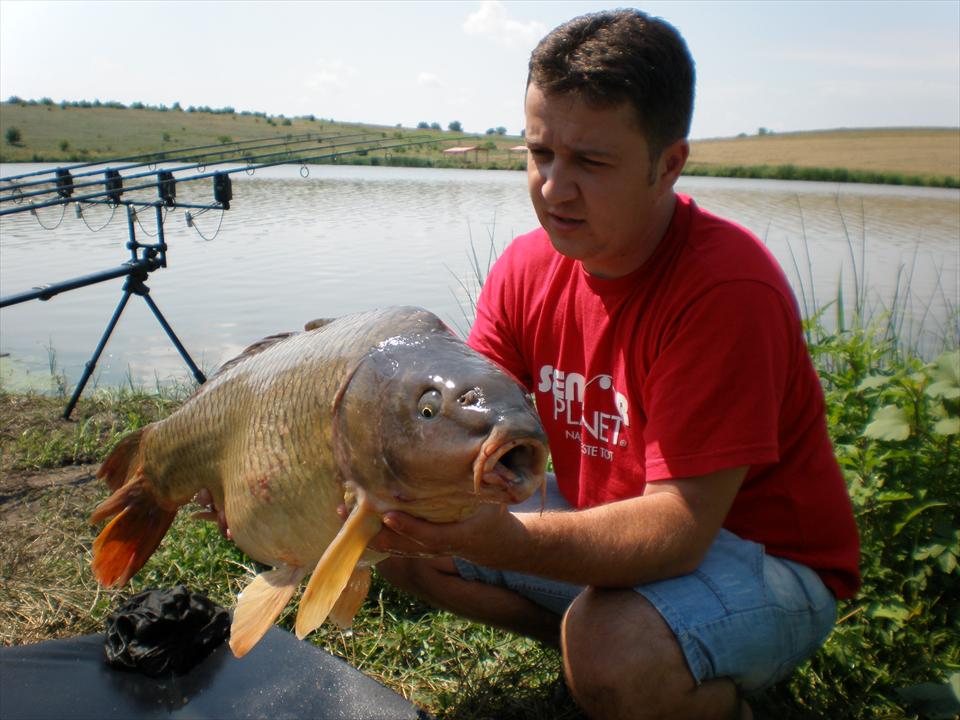 30 lei ziua de pescuit la crap