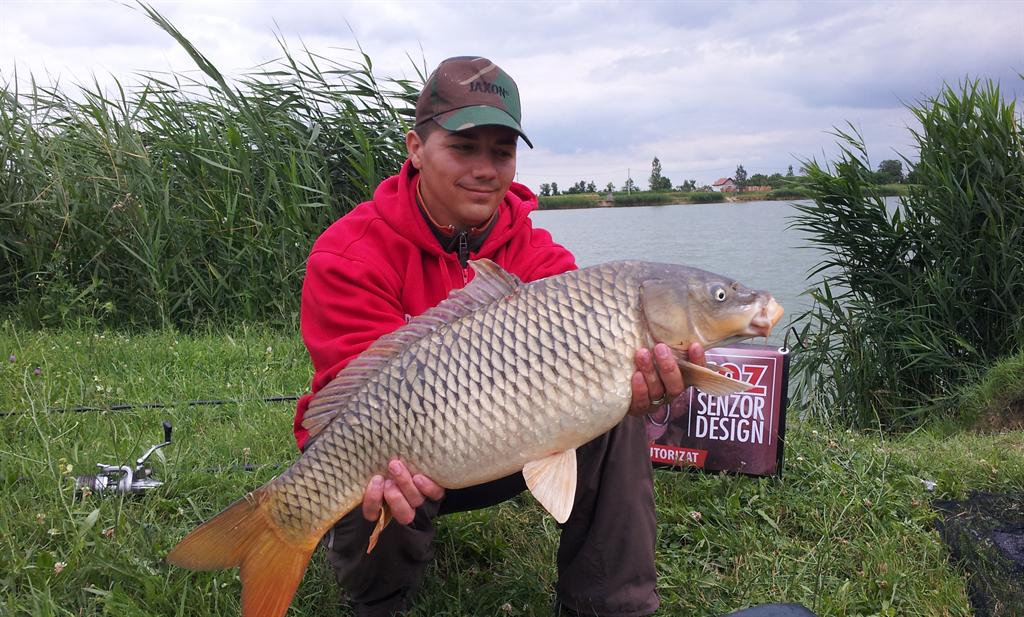 Crapii unguresti adora nada romaneasca