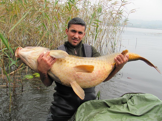 Crap comun de 31 kg pentru Cristi Marinica, consultant Select Baits