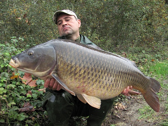 Crap comun de 31 kg pentru Cristi Marinica, consultant Select Baits
