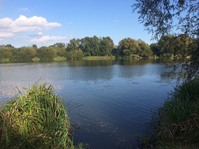 Dupa crap in Anglia