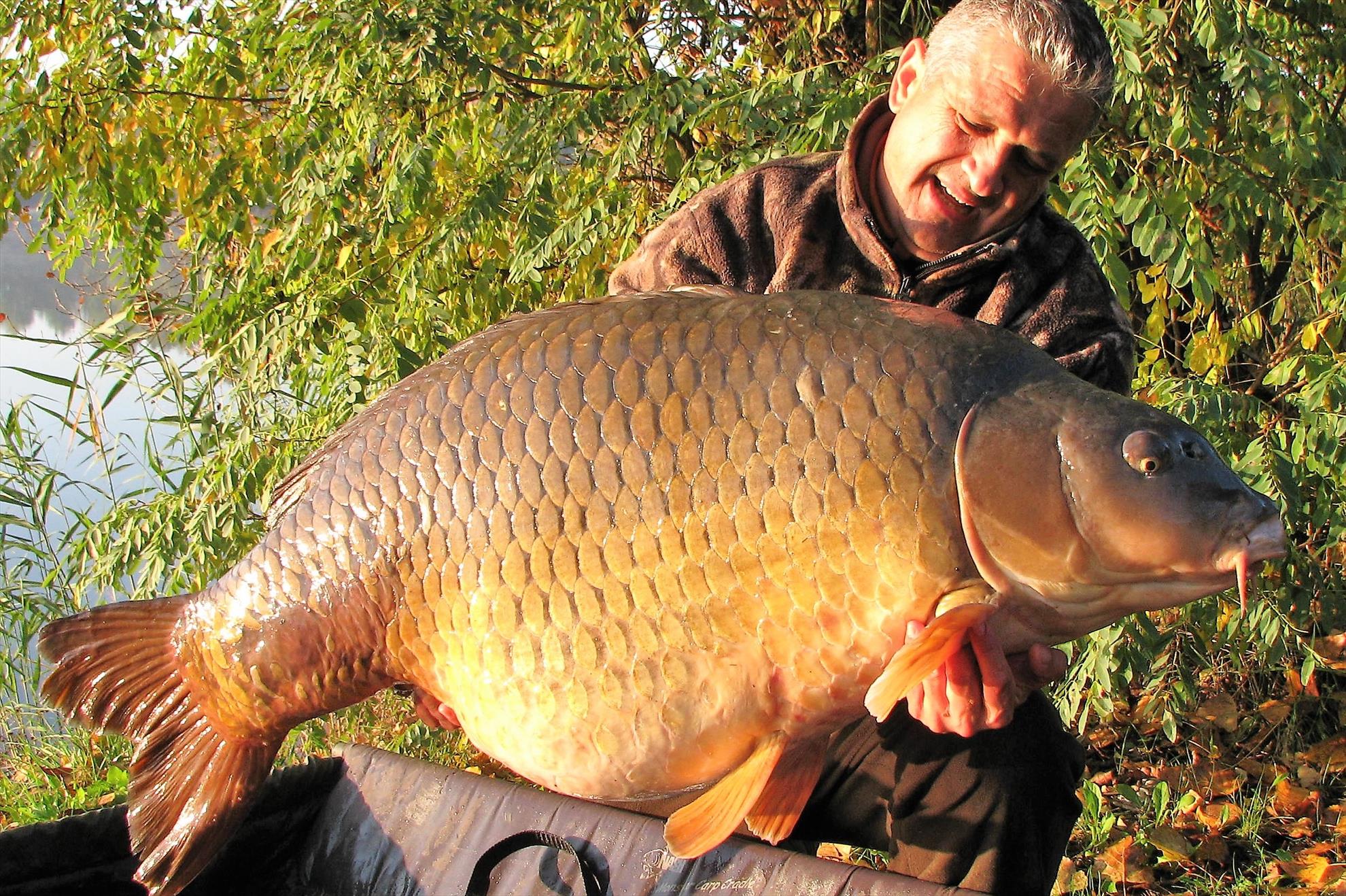 Un roman a stabilit recordul la crap comun in Bosnia si Hertegovina.