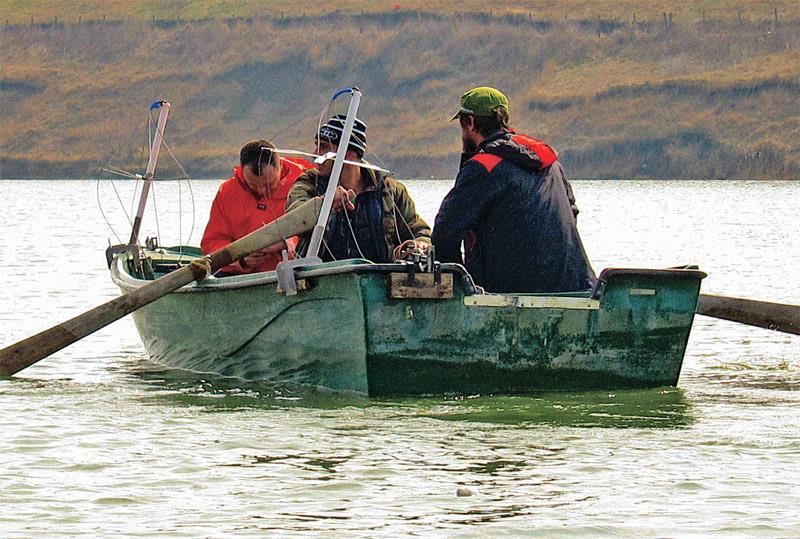 Cum sa curentezi un peste sau electronarcoza.