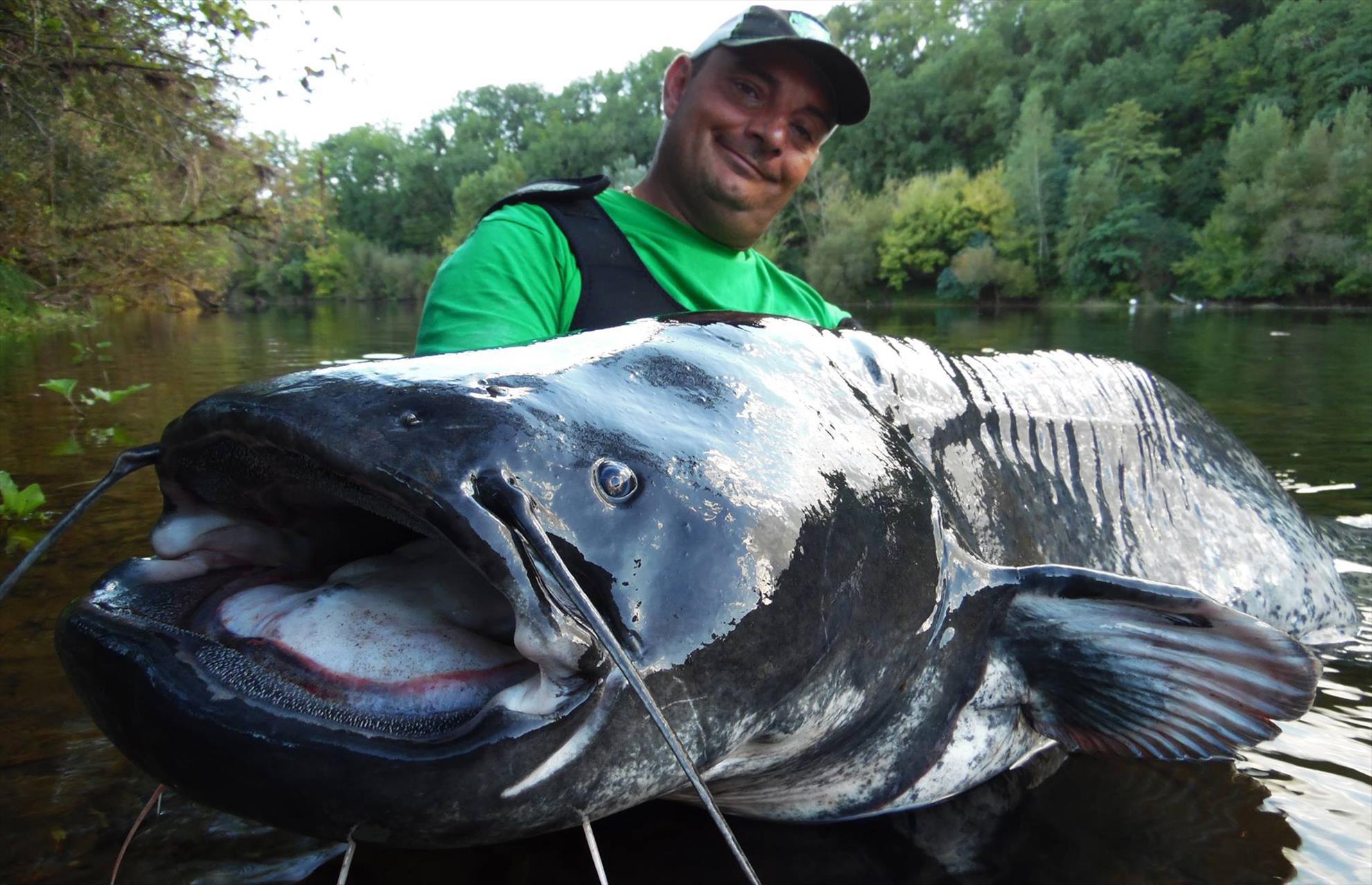 Te gandesti sa te apuci de pescuit la somn? Iata ce trebuie sa stii!